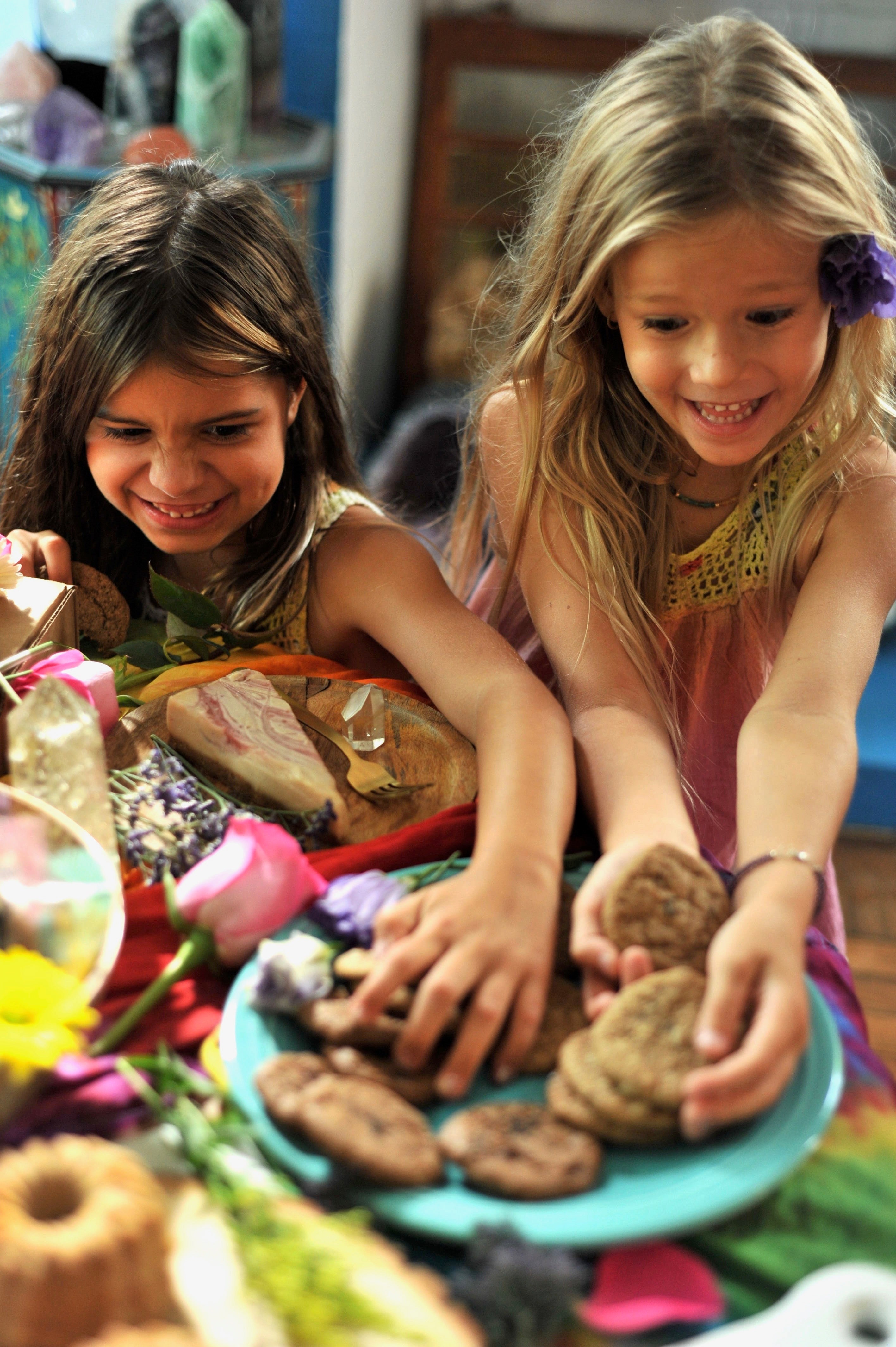 School Friendly (Nut-Free) – Pamela Wasabi Bakery